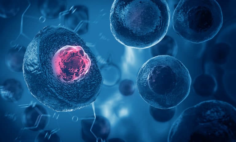 What Is Adipose Stem Cell Therapy San Diego Orthobiologics Medical Group