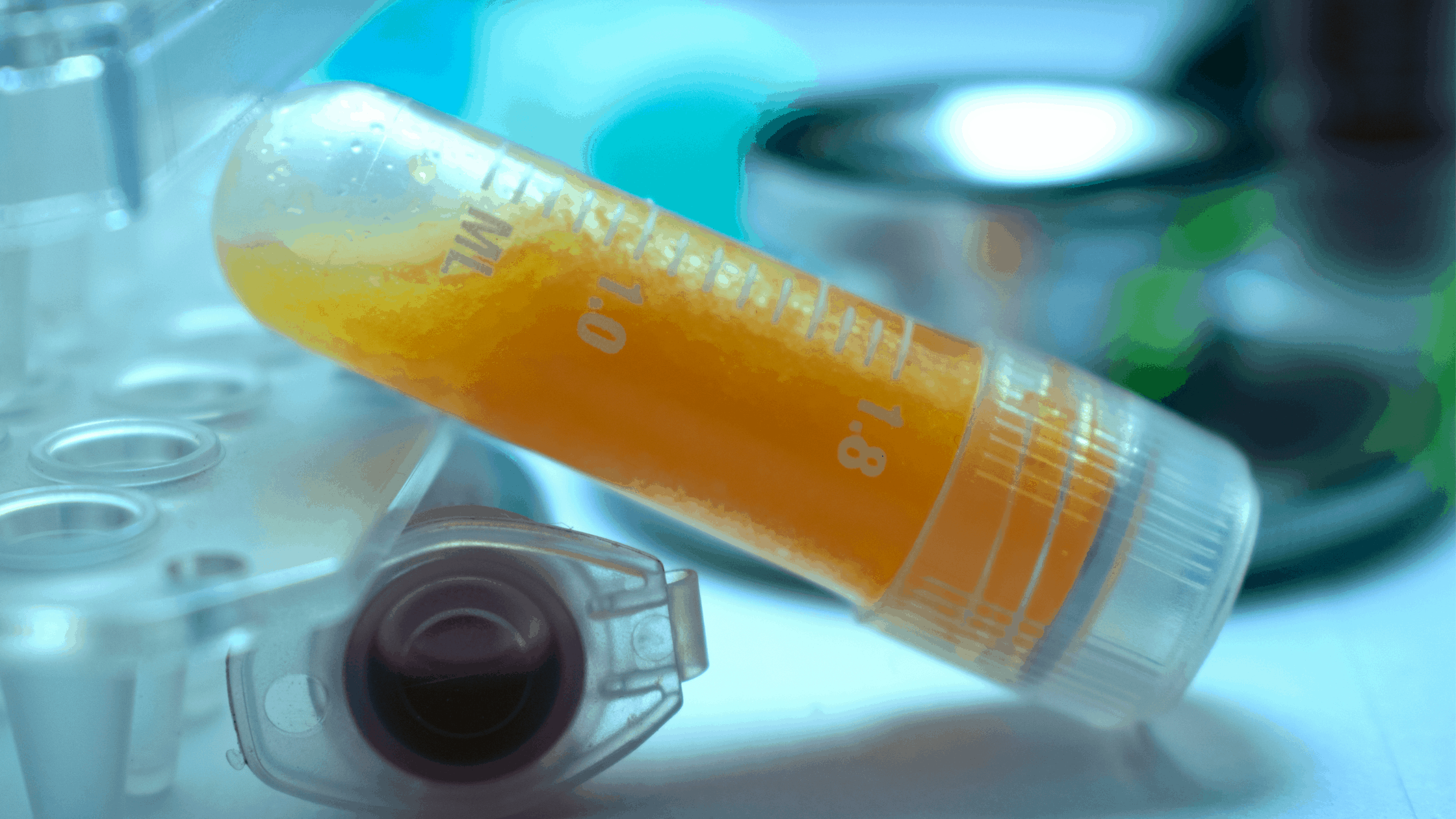 Fat-Derived Cell Therapy: How It Works | SDOMG