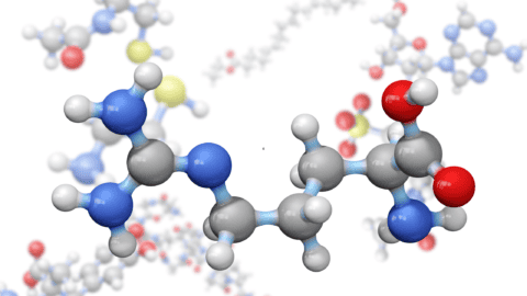BPC-157: What It Is, What We Know, and Why Its Use for Arthritis ...